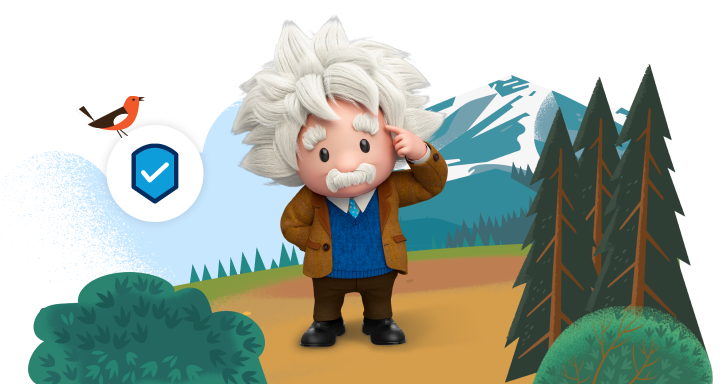 Salesforce-Multi-Faktor-Authentifizierung (MFA) und Single Sign-On (SSO)